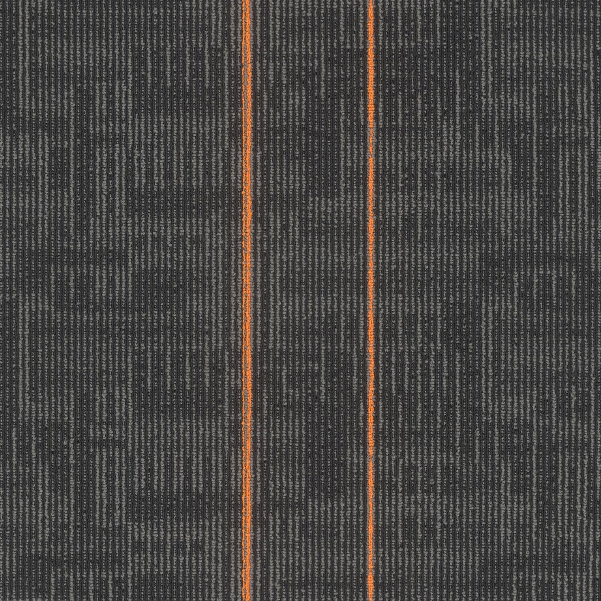 EF Contract - Echo - 24 in. x 24 in. - Commercial Carpet Tile - Sunbur ...