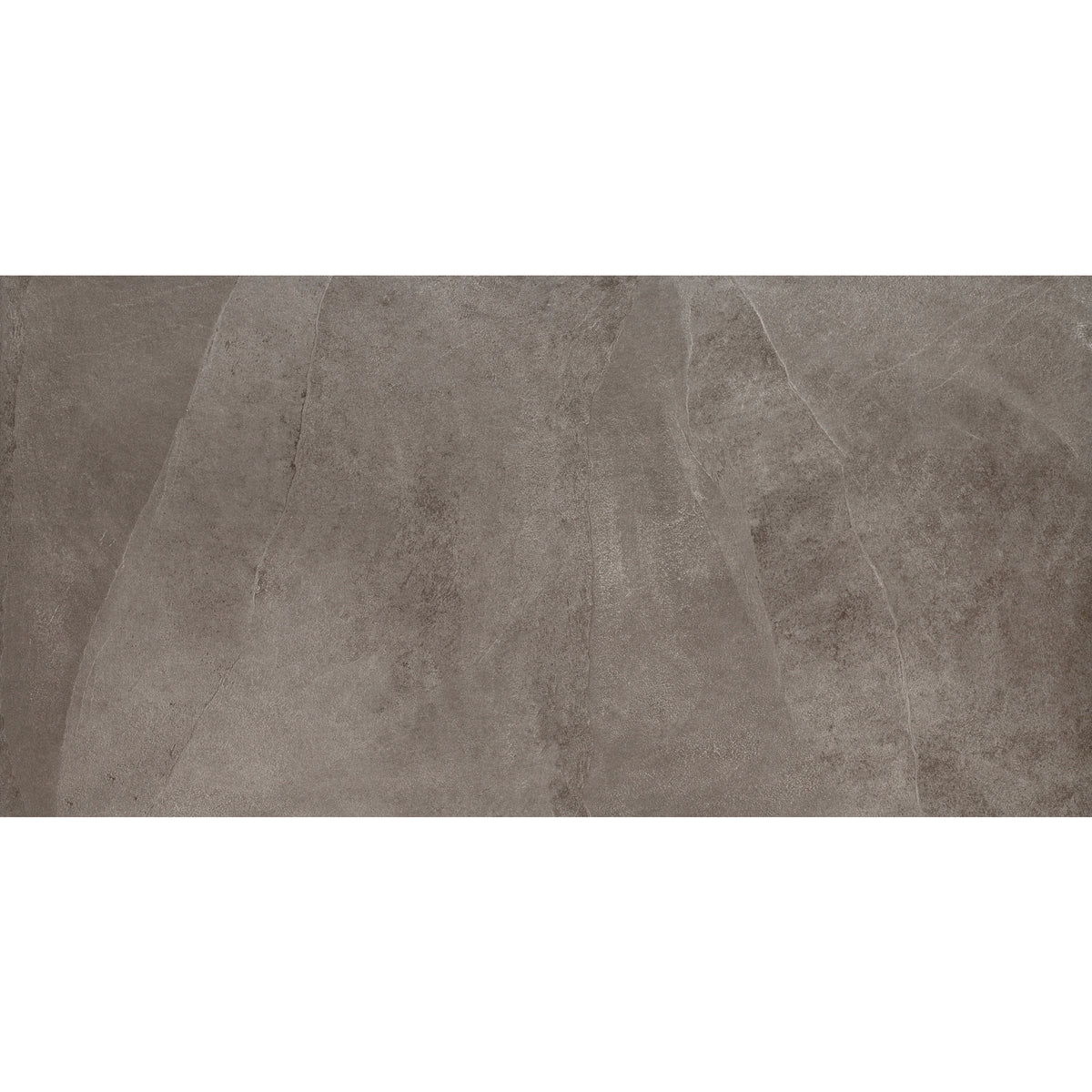 Daltile - Delegate - 12 in. x 24 in. - Porcelain Tile - Matte - Light ...