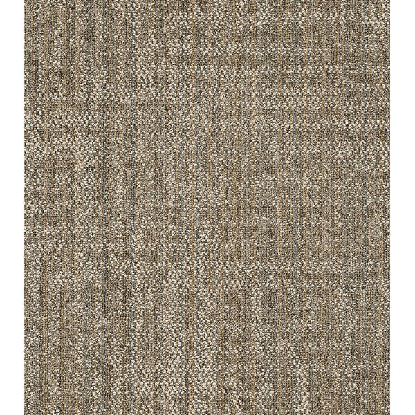 Philadelphia Commercial - Beyond Basic - Raw Beauty - Carpet Tile - As ...