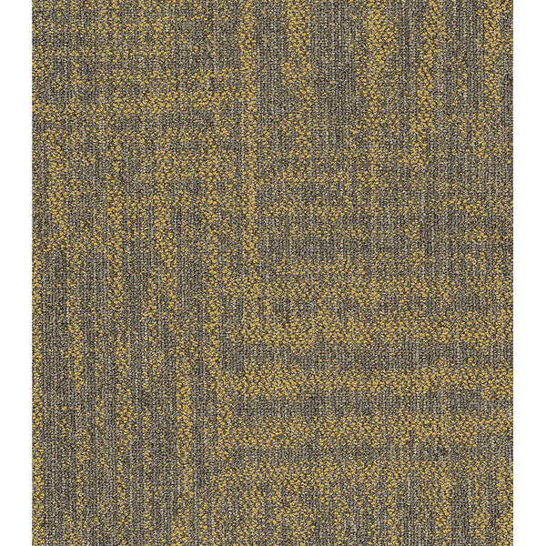 Philadelphia Commercial - Beyond Basic - Raw Beauty - Carpet Tile - Ra ...