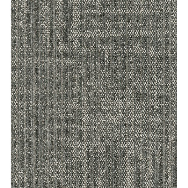 Philadelphia Commercial - Beyond Basic - Raw Beauty - Carpet Tile - Lu ...